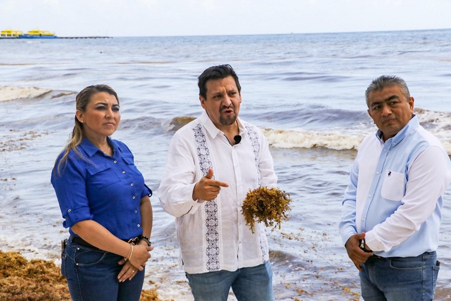 "VAMOS A LA BAJA": PAN acusa al actual gobierno por caída de economía y ...